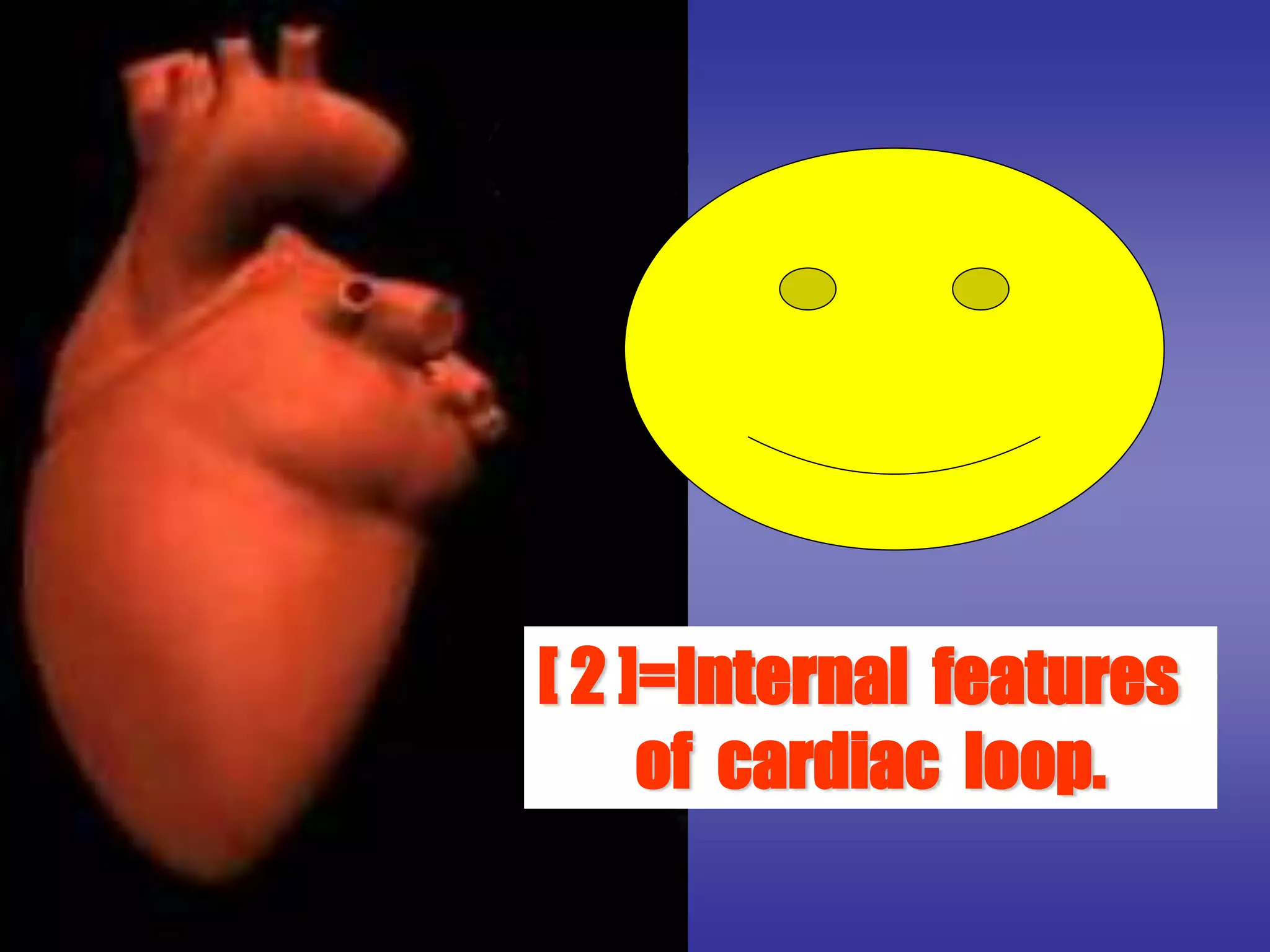 Embryology [heart.].ppt
