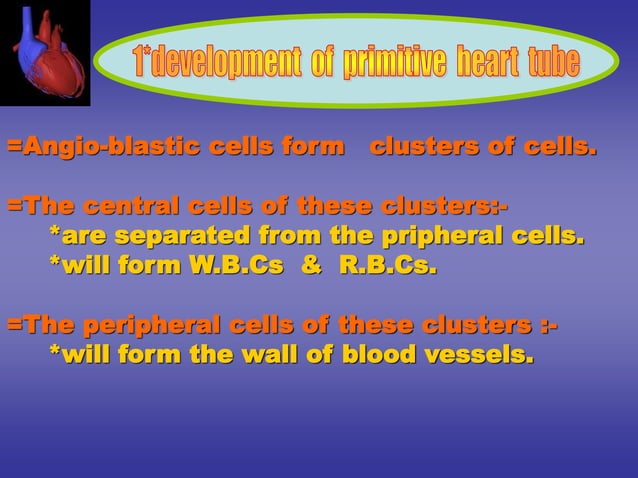 Embryology [heart.].ppt