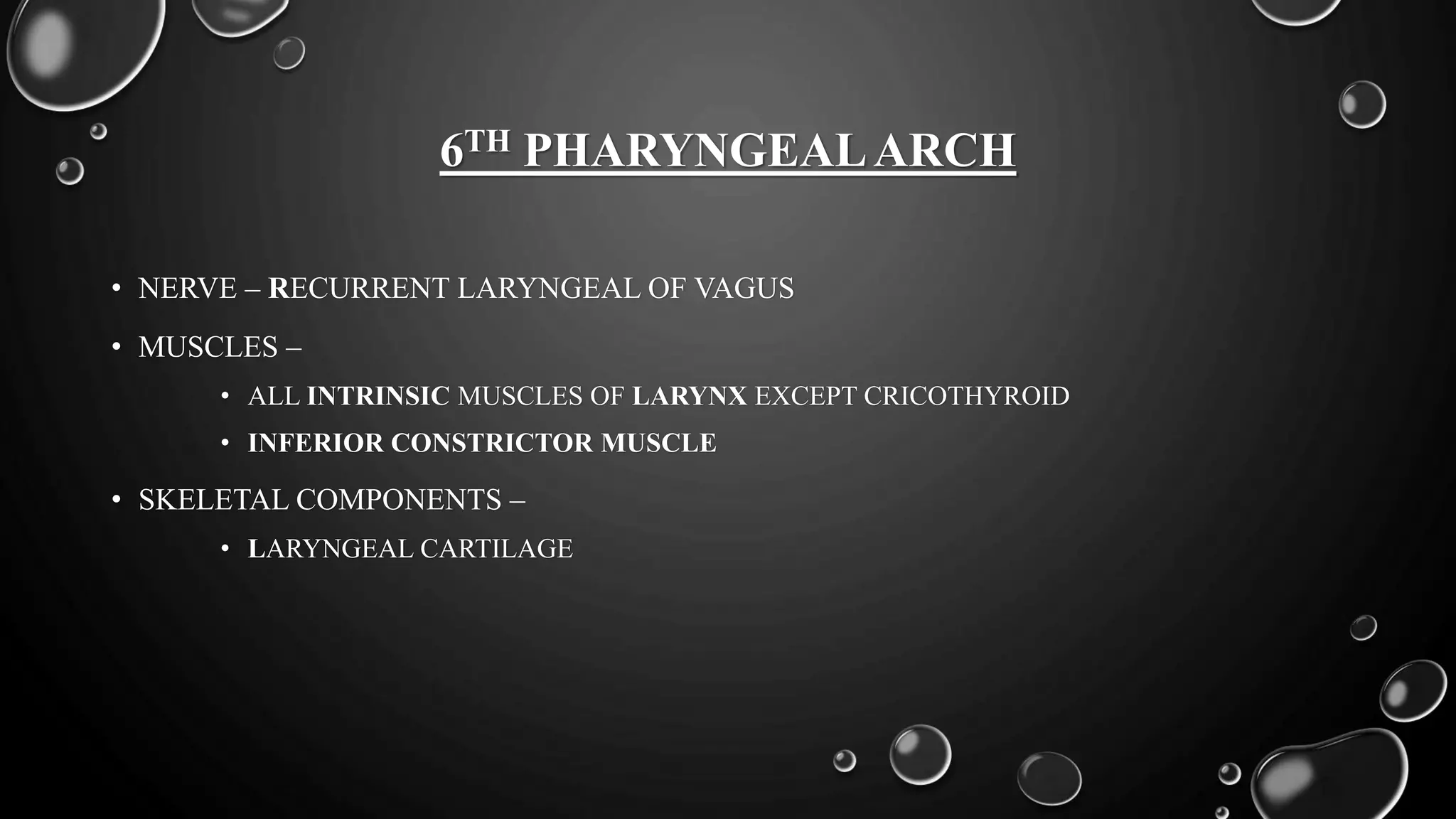Embryology in orthodontics | PPTX
