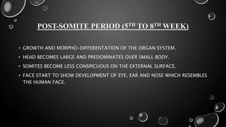 Embryology in orthodontics | PPTX