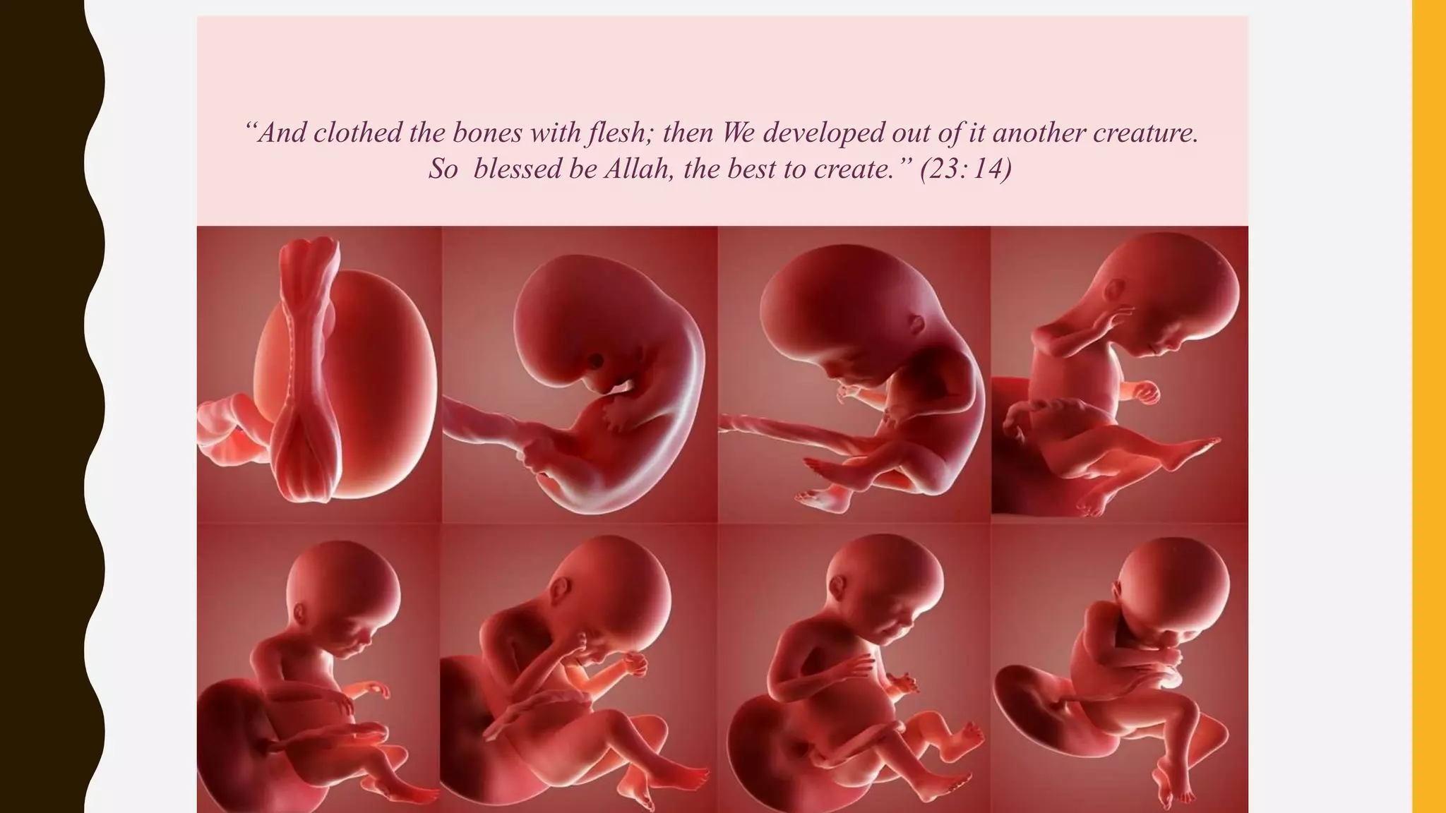 Embryology in quran | PPTX