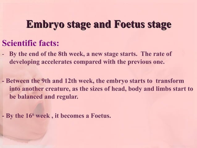 Embryology in the Holy Quran | PPT | Pregnancy | Reproductive Health