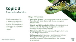 Embryology Lecture - Gametogenesis of Reptiles.pptx