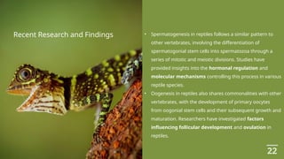 Embryology Lecture - Gametogenesis of Reptiles.pptx