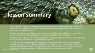 Embryology Lecture - Gametogenesis of Reptiles.pptx