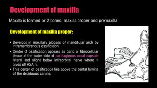 embryology (maxilla and mandibule development) .pdf