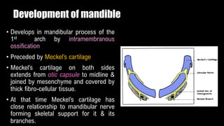 embryology (maxilla and mandibule development) .pdf