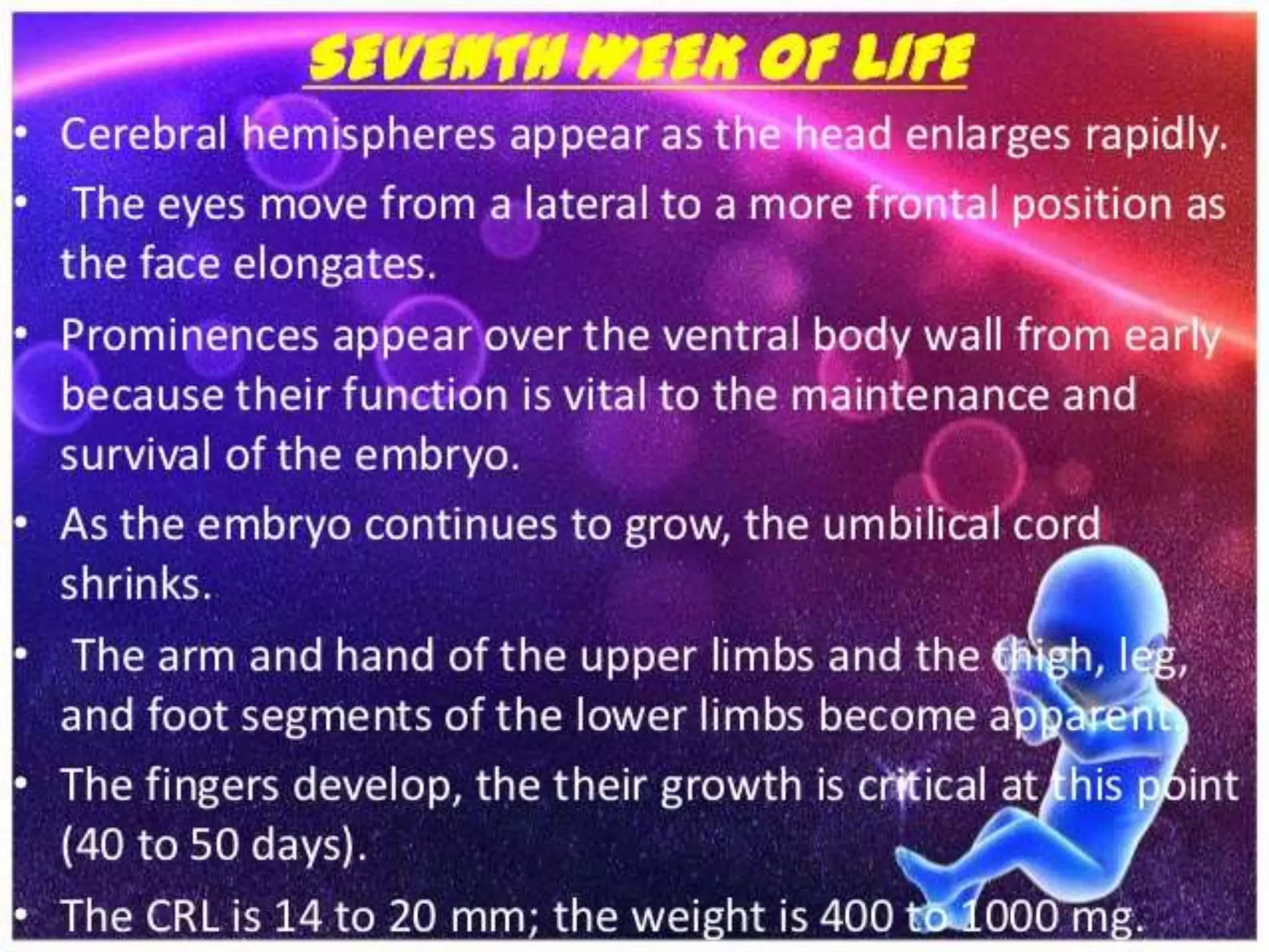 Embryology | PPTX
