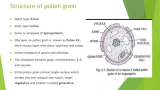 Embryology of Angiosperm, Development of Flower and Reproduction.pptx
