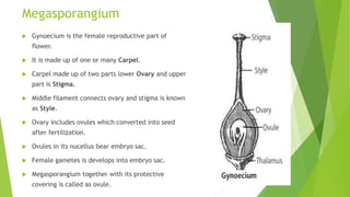 Embryology of Angiosperm, Development of Flower and Reproduction.pptx
