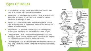 Embryology of Angiosperm, Development of Flower and Reproduction.pptx