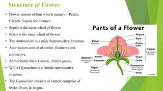 Embryology of Angiosperm, Development of Flower and Reproduction.pptx