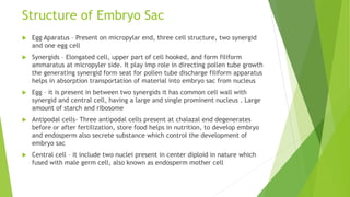 Embryology of Angiosperm, Development of Flower and Reproduction.pptx