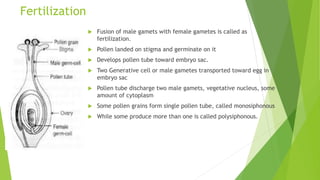 Embryology of Angiosperm, Development of Flower and Reproduction.pptx