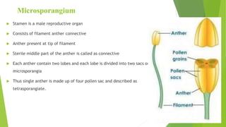 Embryology of Angiosperm, Development of Flower and Reproduction.pptx