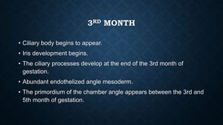 Embryology of angle of anterior chamber | PPTX