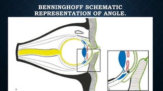Embryology of angle of anterior chamber | PPTX