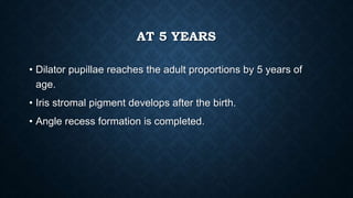 Embryology of angle of anterior chamber | PPTX