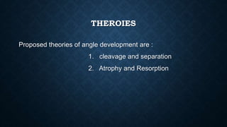 Embryology of angle of anterior chamber | PPTX