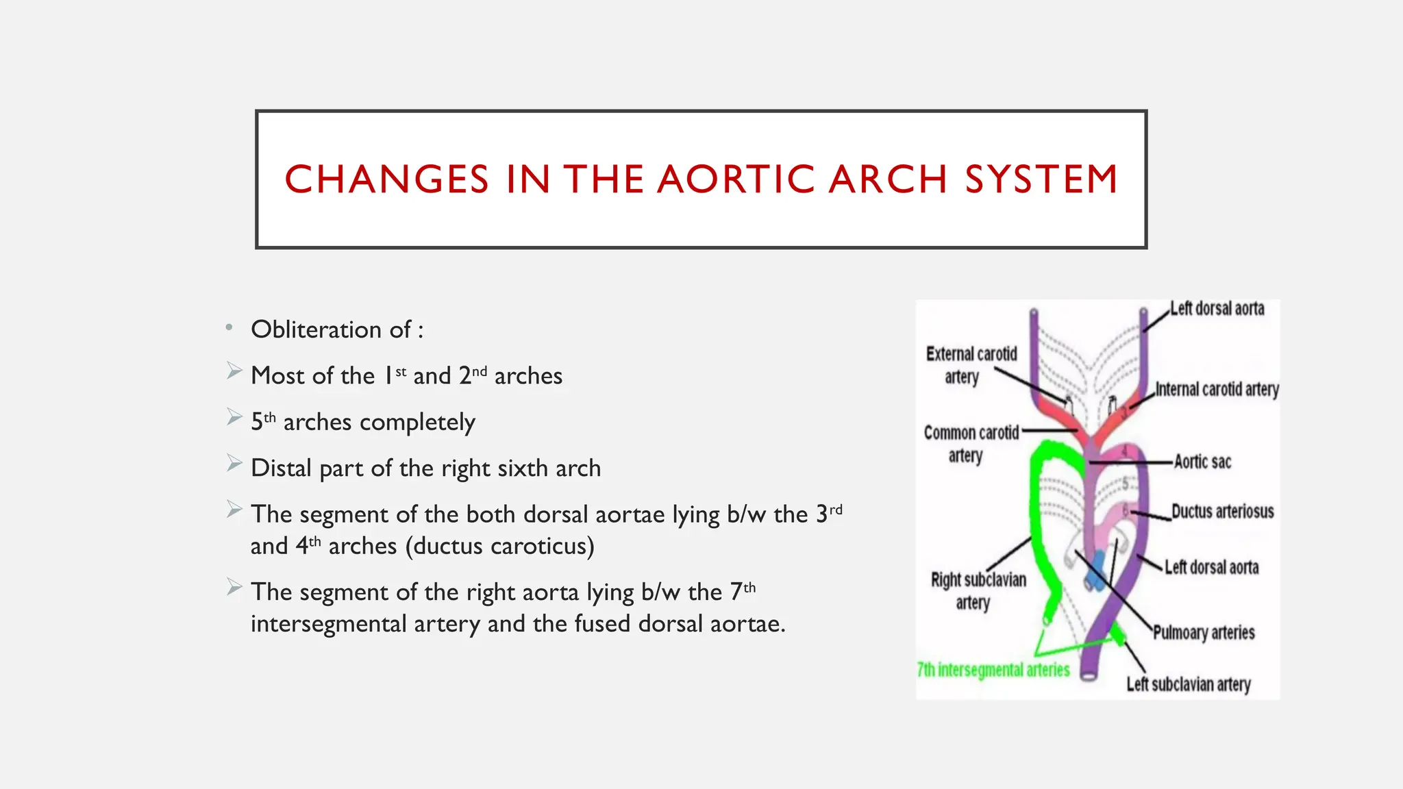 Embryology of aortic arches presentation | PPTX