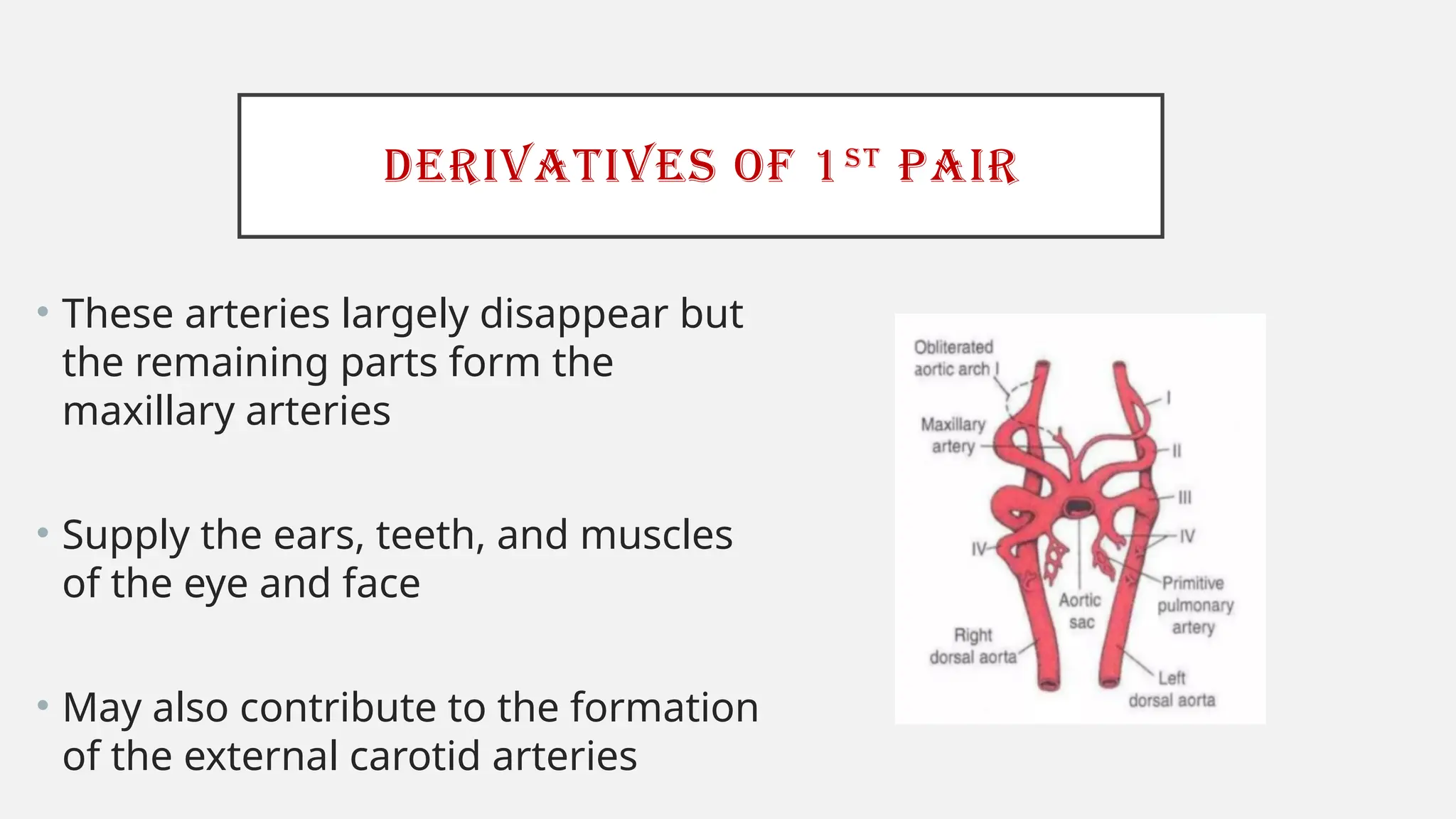 Embryology of aortic arches presentation | PPTX