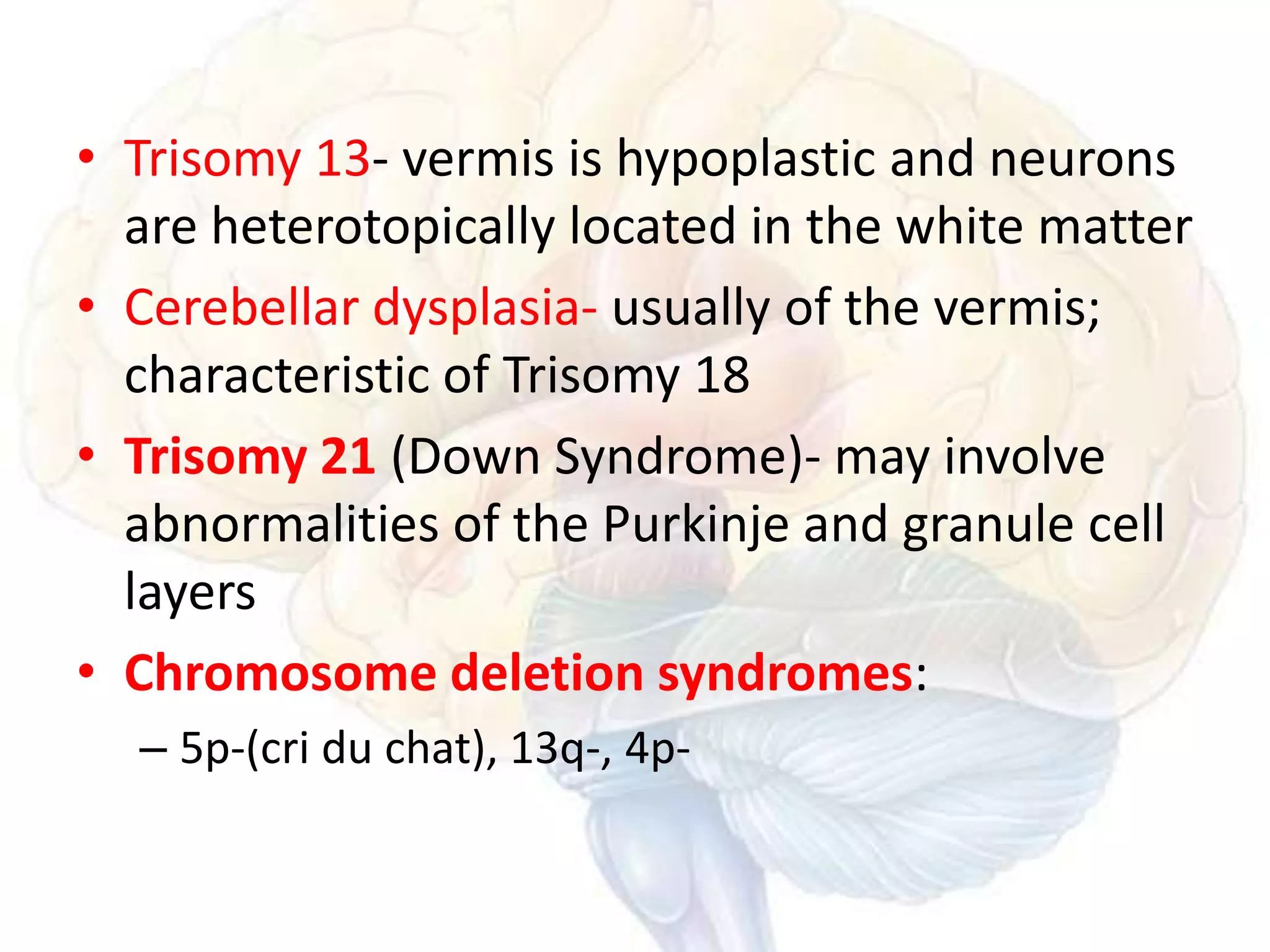 Embryology of brain | PPTX