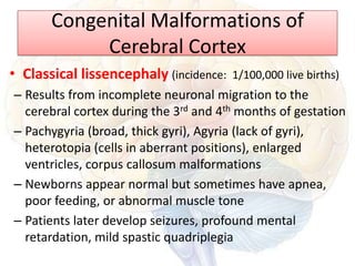 Embryology of brain | PPTX