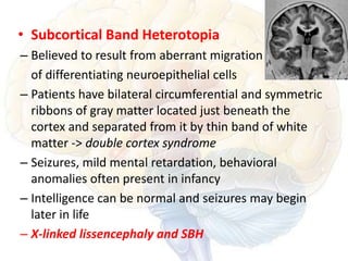 Embryology of brain | PPTX