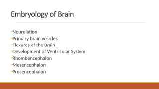 embryology of brain (1) in view with radiology | PPT