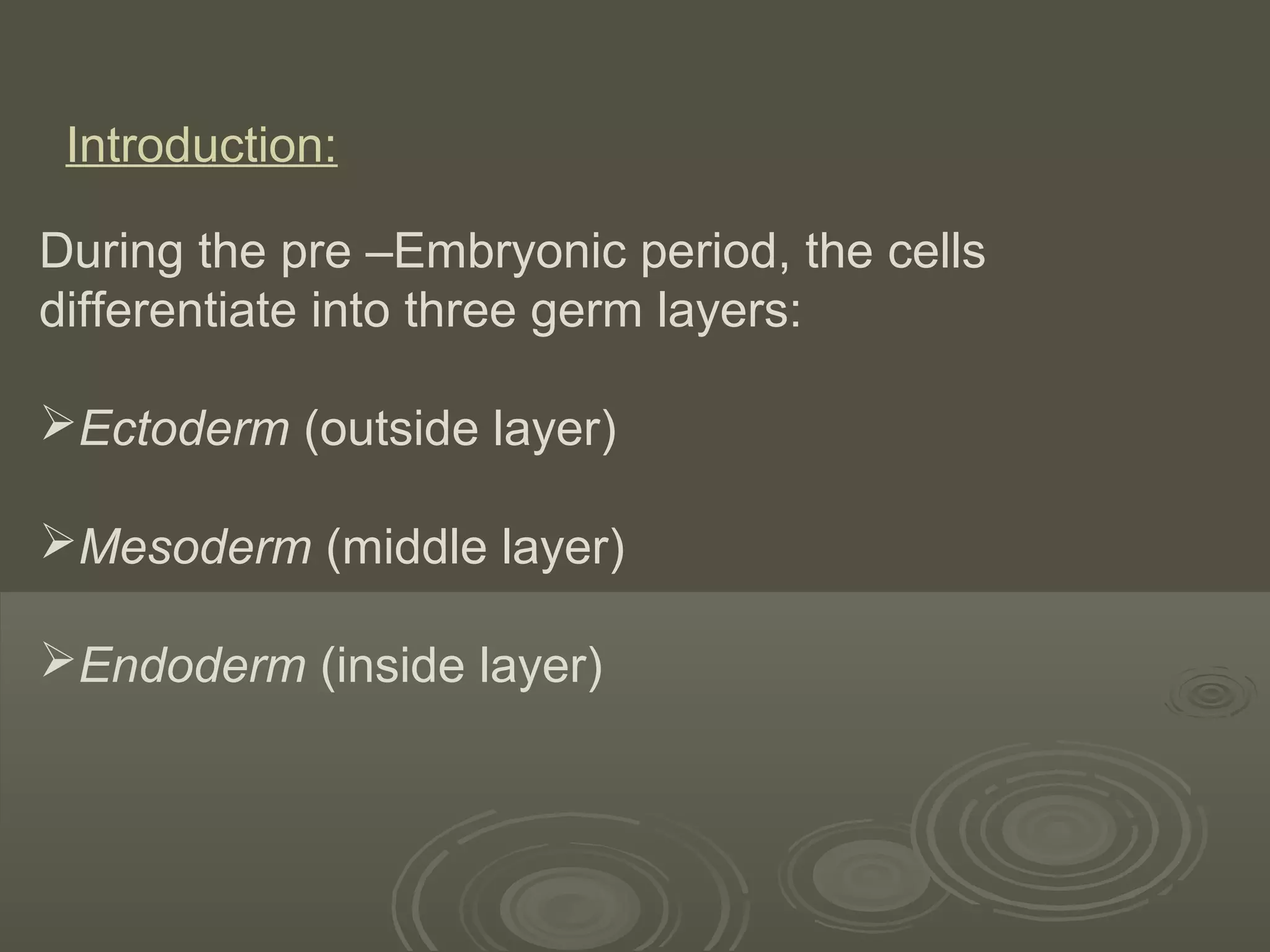 Embryology of branchial arches applied anatomy by osama elhamzawy | PPT