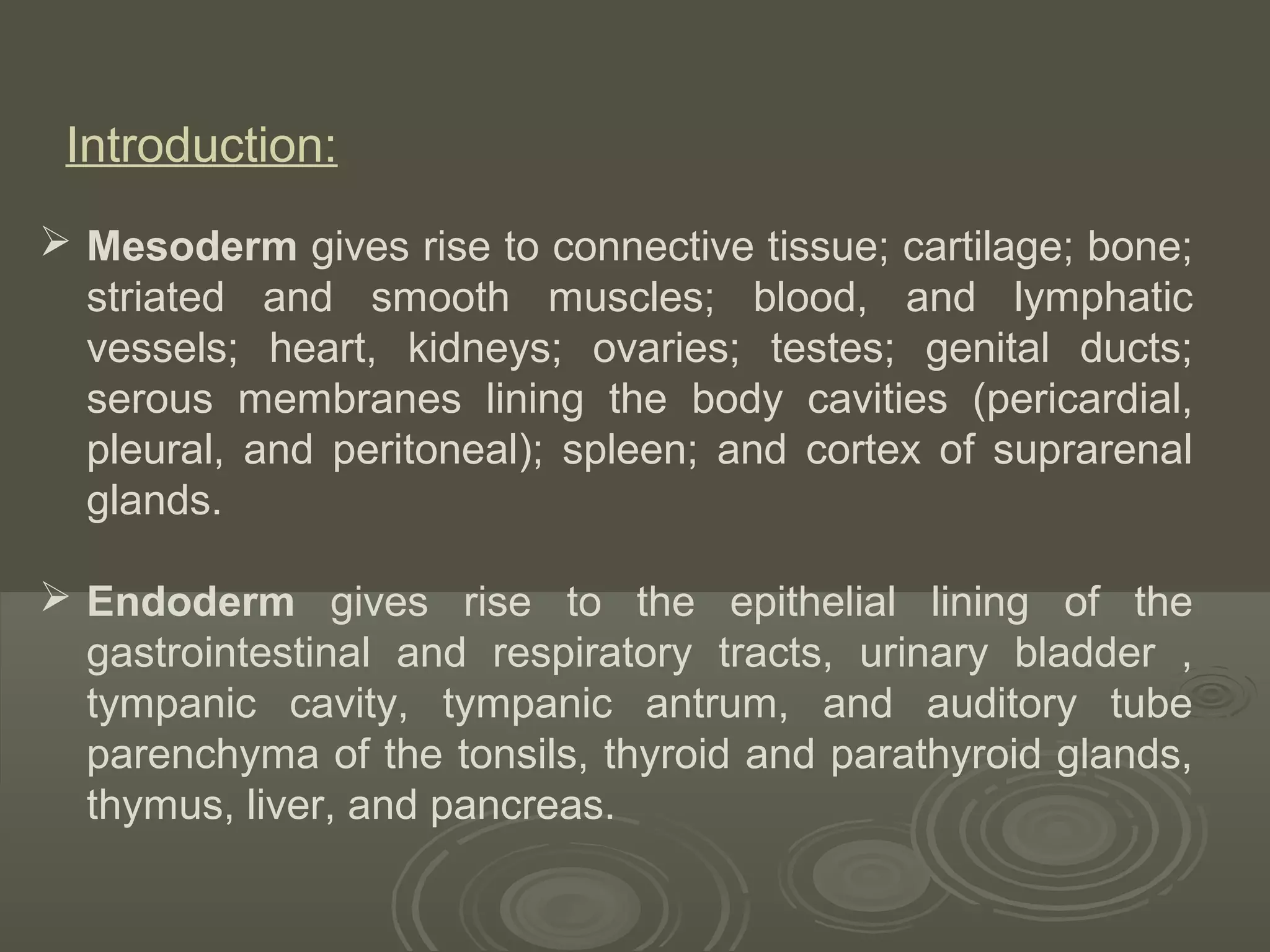 Embryology of branchial arches applied anatomy by osama elhamzawy | PPT