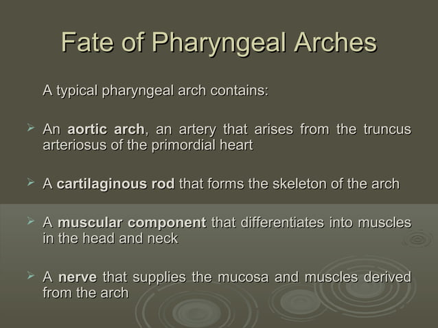 Embryology of branchial arches applied anatomy by osama elhamzawy | PPT