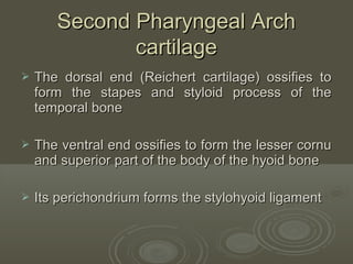 Embryology of branchial arches applied anatomy by osama elhamzawy | PPT
