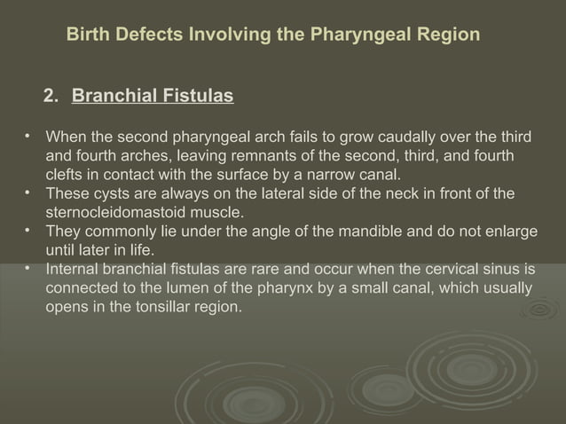 Embryology of branchial arches applied anatomy by osama elhamzawy | PPT