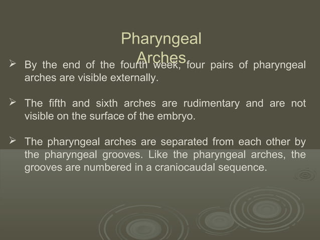 Embryology of branchial arches applied anatomy by osama elhamzawy | PPT
