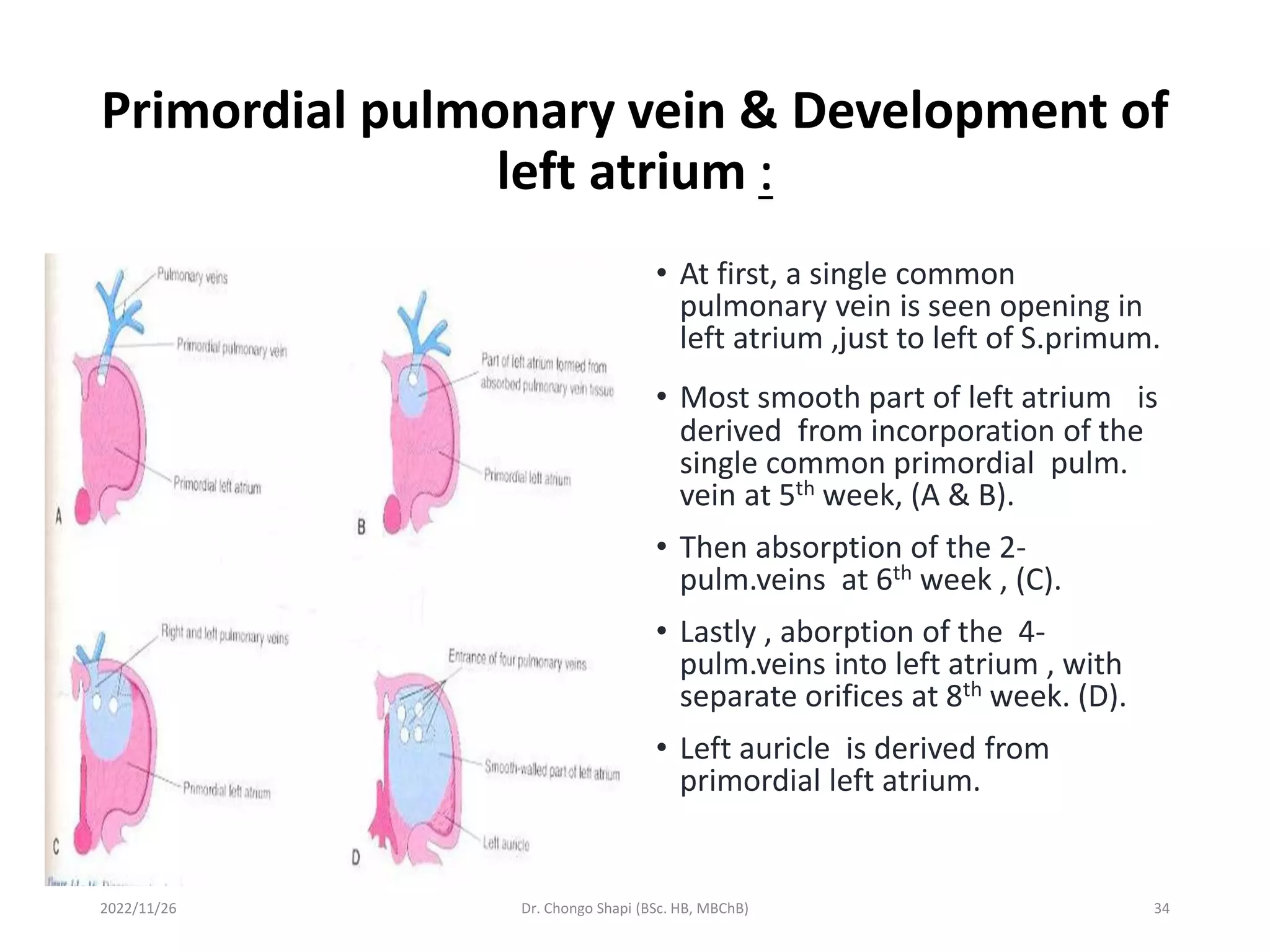 EMBRYOLOGY OF CARDIOVASCULAR SYSTEM.pdf