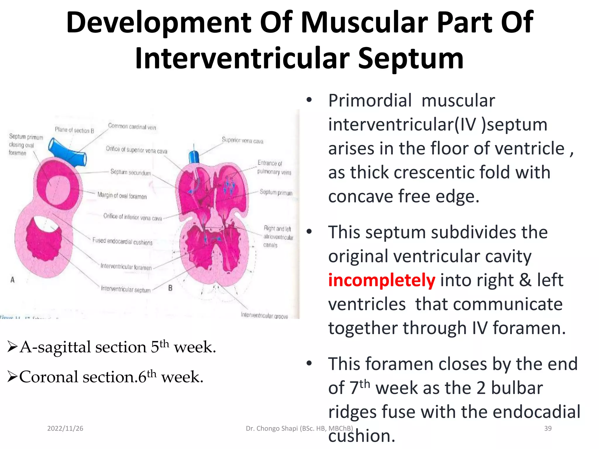 EMBRYOLOGY OF CARDIOVASCULAR SYSTEM.pdf