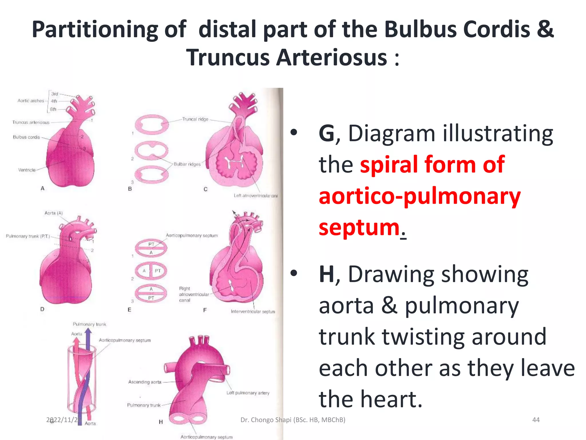 EMBRYOLOGY OF CARDIOVASCULAR SYSTEM.pdf