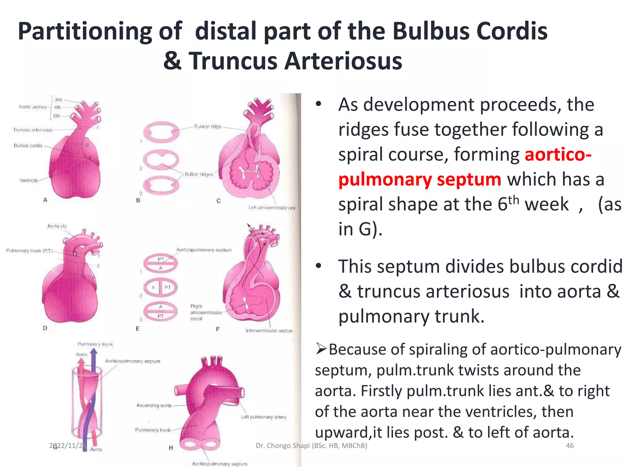 EMBRYOLOGY OF CARDIOVASCULAR SYSTEM.pdf