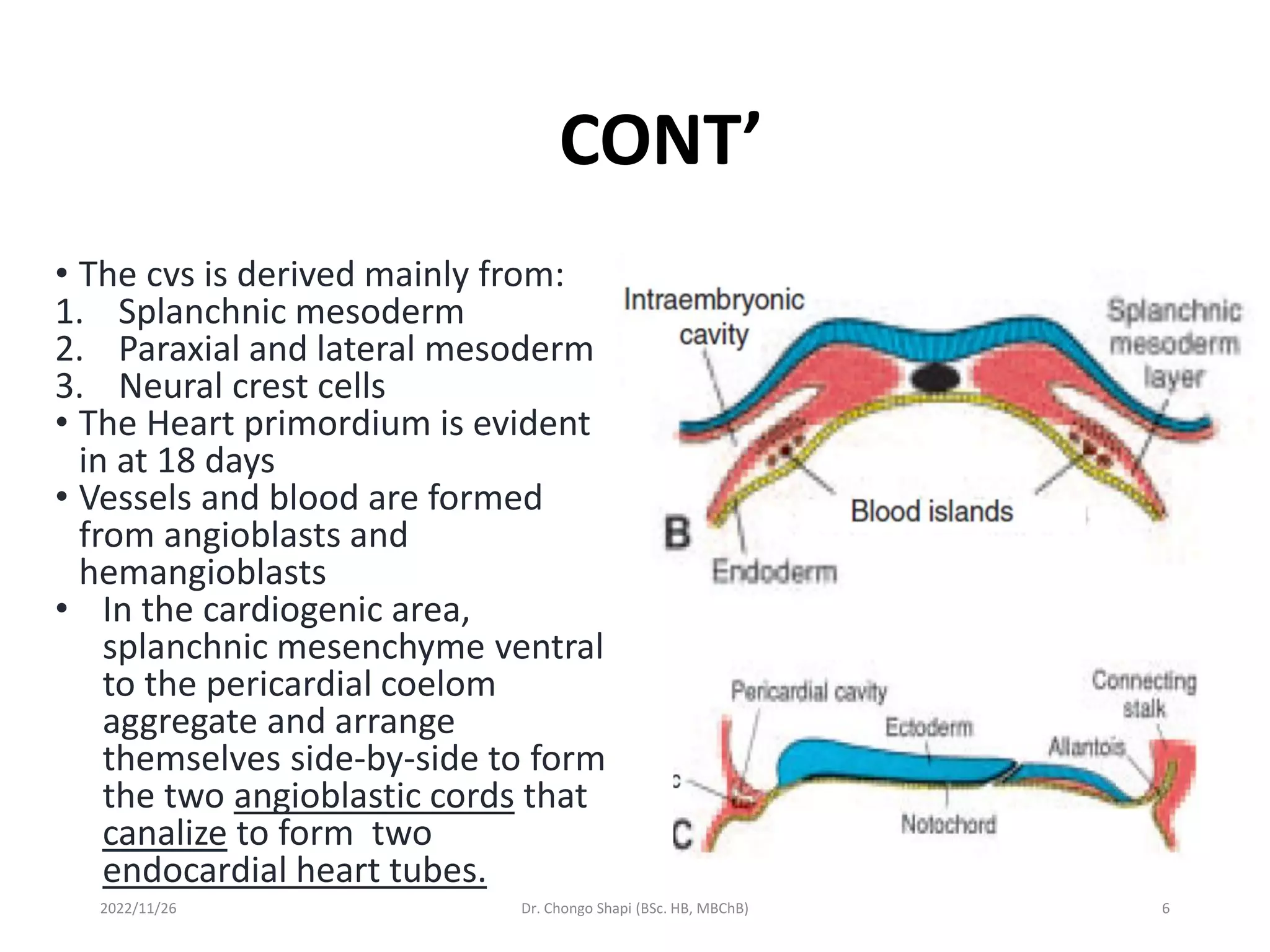 EMBRYOLOGY OF CARDIOVASCULAR SYSTEM.pdf