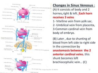 EMBRYOLOGY OF CARDIOVASCULAR SYSTEM.pdf