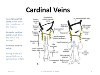 EMBRYOLOGY OF CARDIOVASCULAR SYSTEM.pdf