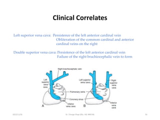 EMBRYOLOGY OF CARDIOVASCULAR SYSTEM.pdf