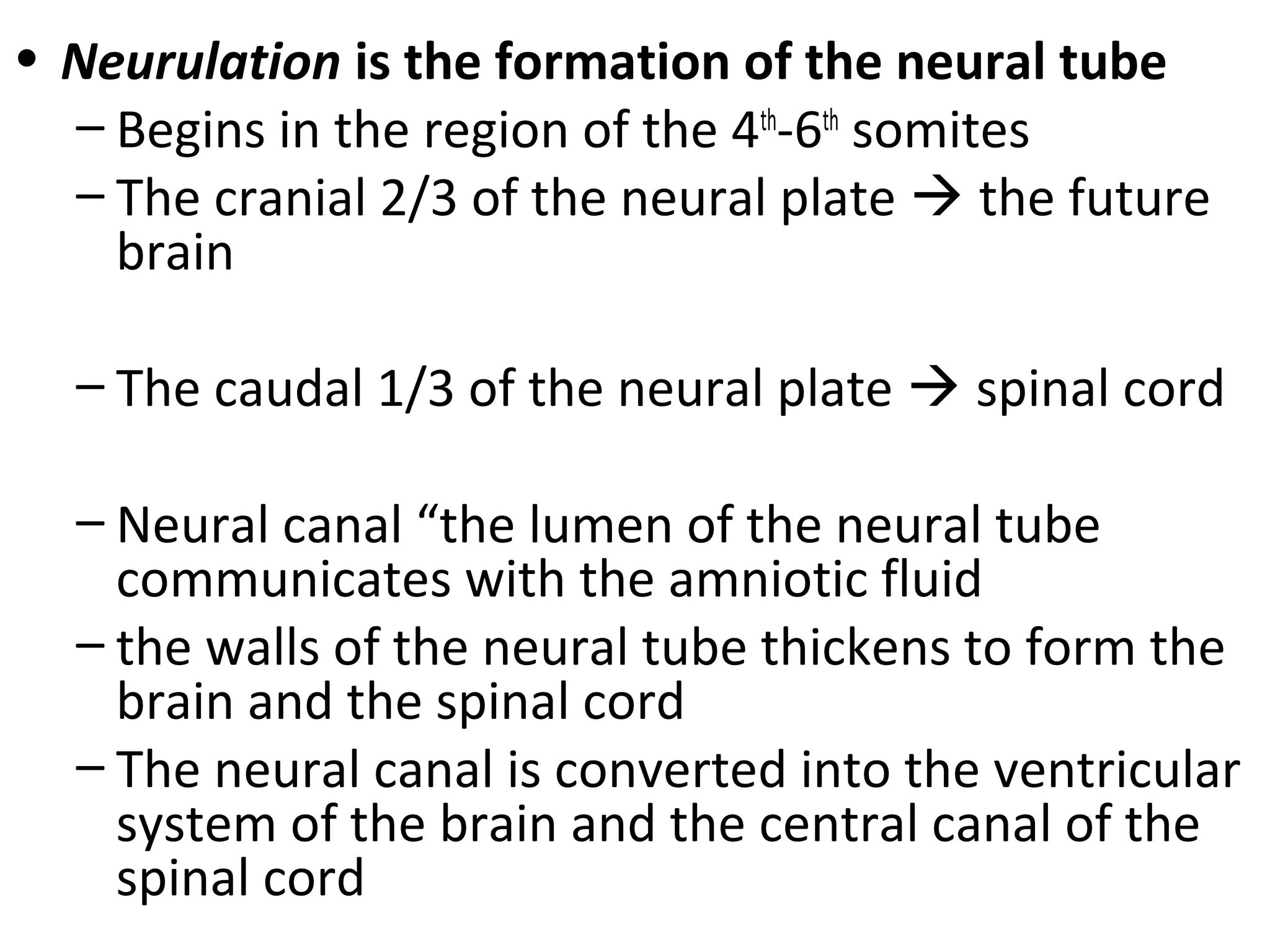 Embryology of the Central Nevous system and anomalies | PPT