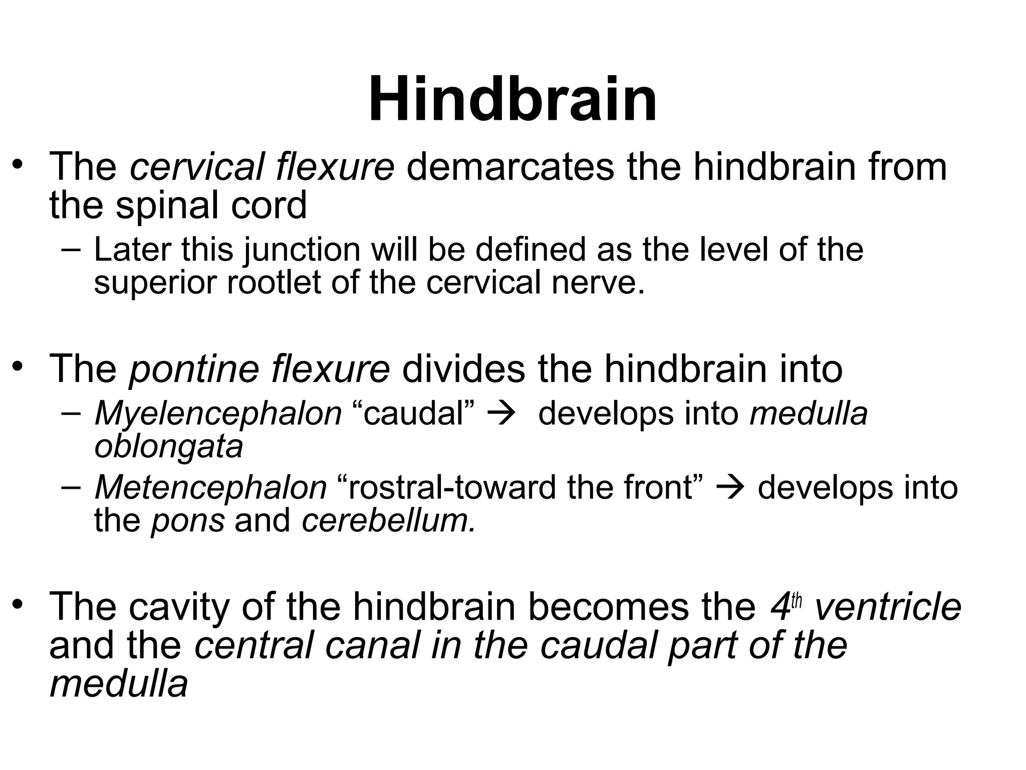 Embryology of the Central Nevous system and anomalies | PPT