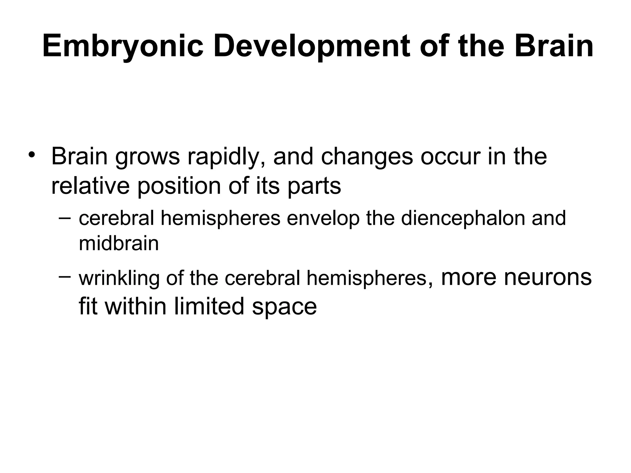 Embryology of the Central Nevous system and anomalies | PPT