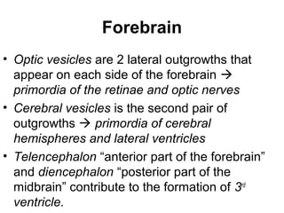 Embryology of the Central Nevous system and anomalies | PPT
