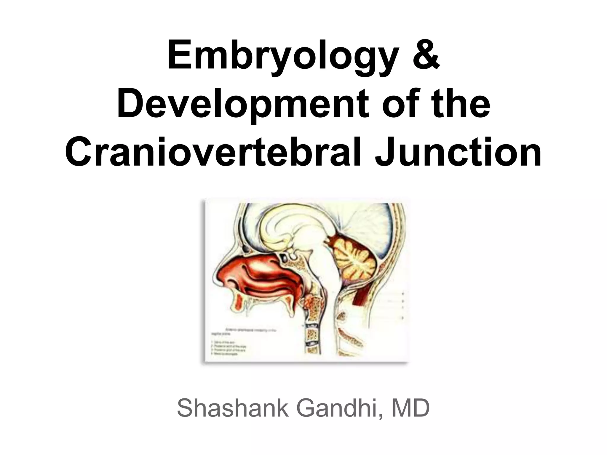 Embryology of the Craniovertebral Junction | PPTX