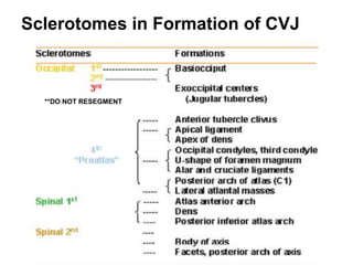 Embryology of the Craniovertebral Junction | PPTX