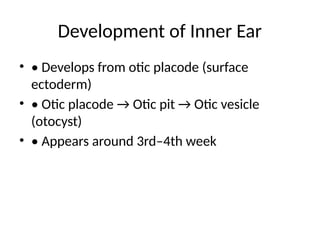 Embryology of Ear and it's developmental basics | PPTX